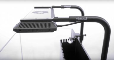 Kessil Mounting Arms help class up your LED light | Reef Builders | The ...