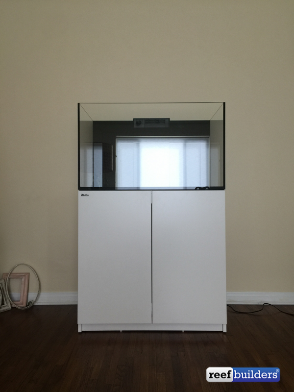 Red Sea REEFER 250 Review part 1 | Reef Builders | The Reef and ...