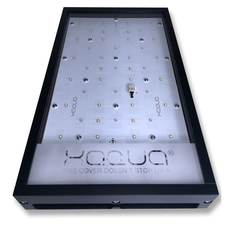 Utopya is the newest LED light from XAQUA | Reef Builders | The Reef ...