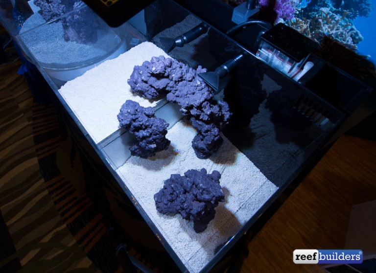 Abyss, Atoll and Peninsula concept aquariums debuted by Innovative ...