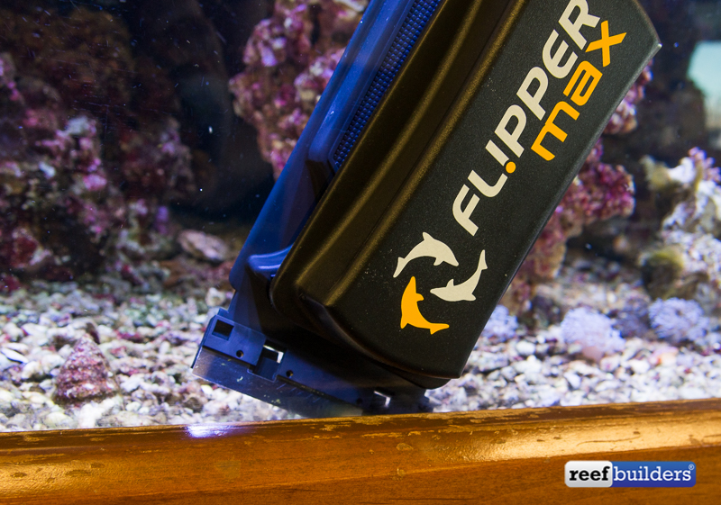 Flipper Max Review - A very strong magnet with flippy tricks | Reef ...