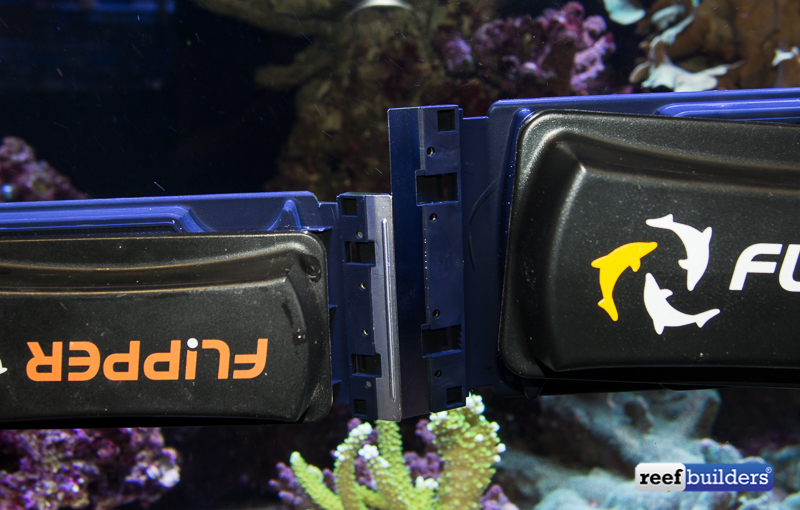 Flipper Max Review - A very strong magnet with flippy tricks | Reef ...