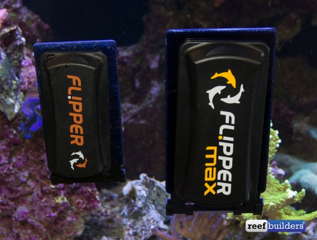 Flipper Max Review - A very strong magnet with flippy tricks | Reef ...