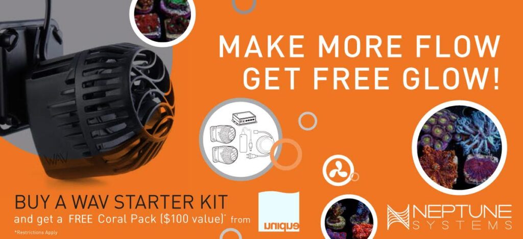 Buy a Neptune WAV, get a Unique Corals frag pack | Reef Builders | The ...