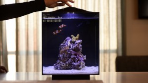 Biota Aquariums want to turn novice aquarists into long-term hobbyists ...