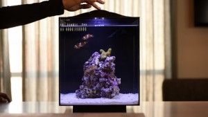 Biota Aquariums want to turn novice aquarists into long-term hobbyists ...