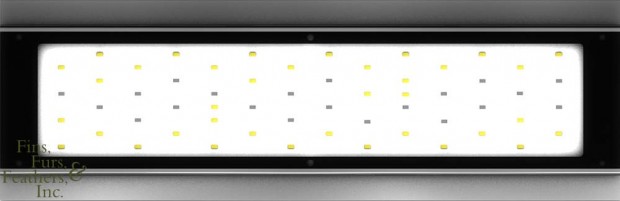 NemoLight AquaMarine LED from AquaMaxx | Reef Builders | The Reef and Saltwater Aquarium Blog