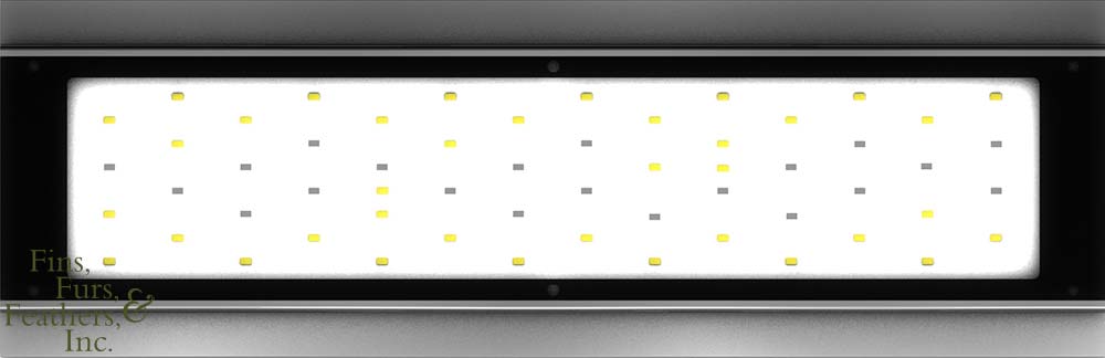 NemoLight AquaMarine LED from AquaMaxx | Reef Builders | The Reef and Saltwater Aquarium Blog