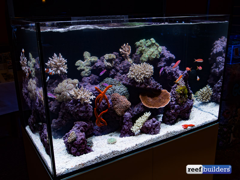 Red Sea MAX E Series debut at ReefStock in Denver | Reef Builders | The ...