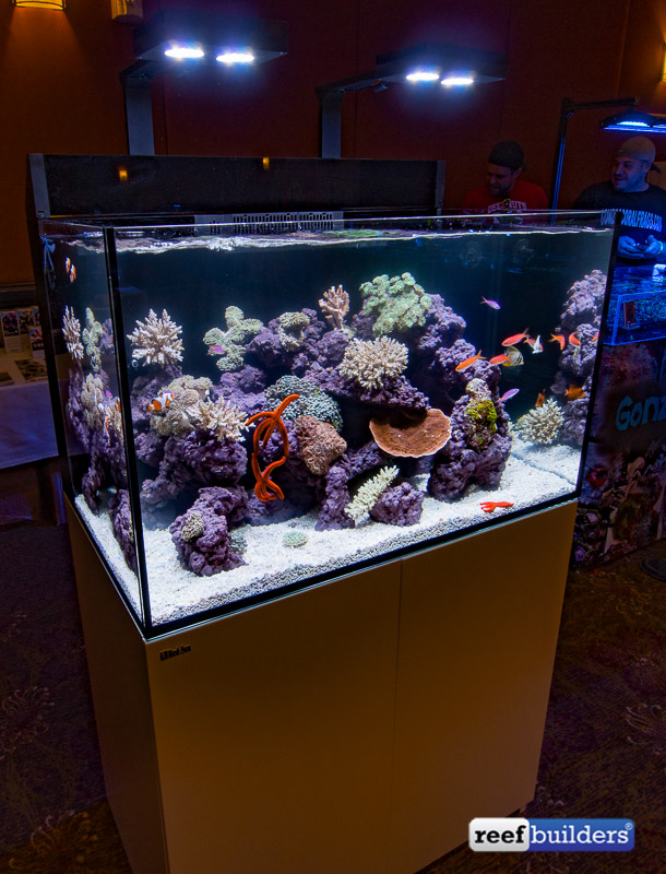 Red Sea MAX E Series debut at ReefStock in Denver | Reef Builders | The ...
