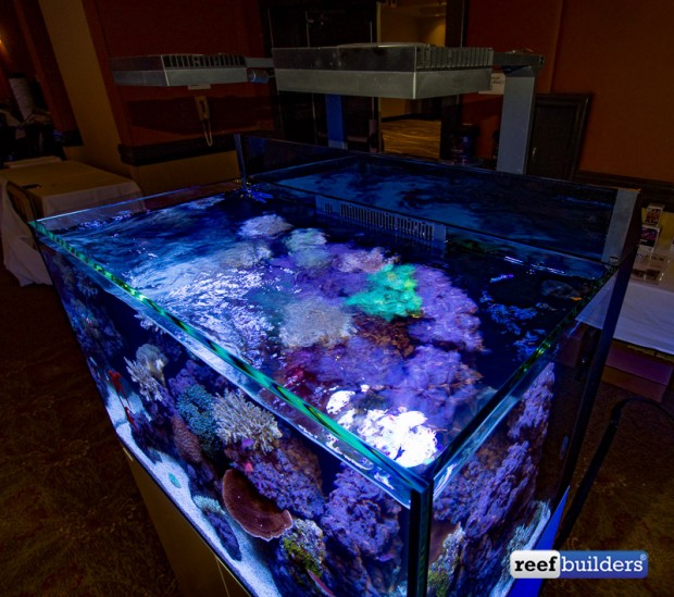 Red Sea MAX E Series debut at ReefStock in Denver | Reef Builders | The ...