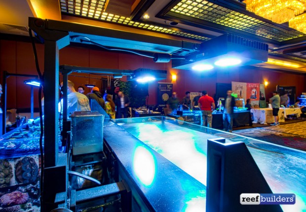 New Red Sea Max S series coming soon with LED lighting | Reef Builders ...