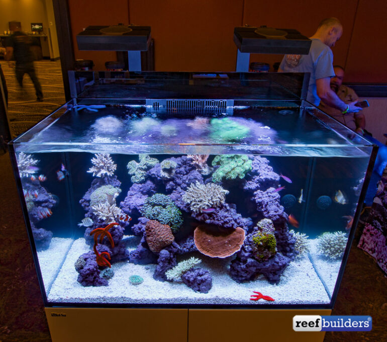 Red Sea MAX E Series debut at ReefStock in Denver | Reef Builders | The ...