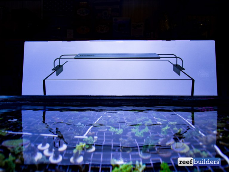 AquaMaxx NemoLight LED review Pt 1, unboxing this affordable aquarium light | Reef Builders ...