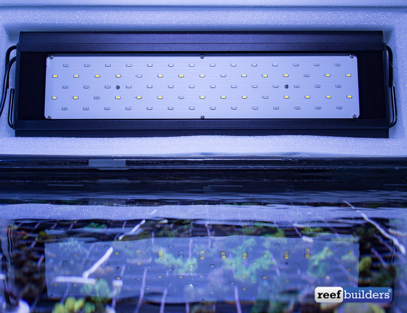 AquaMaxx NemoLight LED review Pt 1, unboxing this affordable aquarium light | Reef Builders ...
