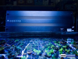 AquaMaxx NemoLight LED review Pt 1, unboxing this affordable aquarium light | Reef Builders ...