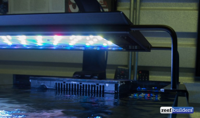 AquaMaxx NemoLight LED review Pt 1, unboxing this affordable aquarium light | Reef Builders ...