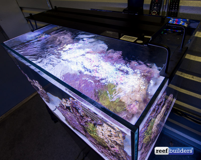 AquaMaxx NemoLight LED review Pt 1, unboxing this affordable aquarium light | Reef Builders ...