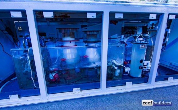 All That You Need When Setting Up A Reef Tank | Reef Builders | The ...