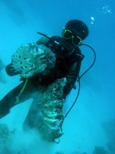 Sponge farming on the Island of Pohnpei Micronesia | Reef Builders ...