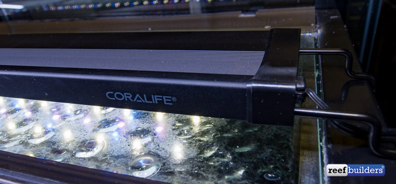 Coralife LED Aqualight S review | Reef Builders | The Reef and ...