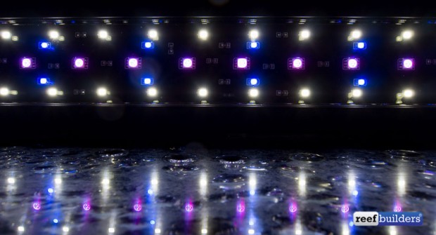 Coralife LED Aqualight S review | Reef Builders | The Reef and ...
