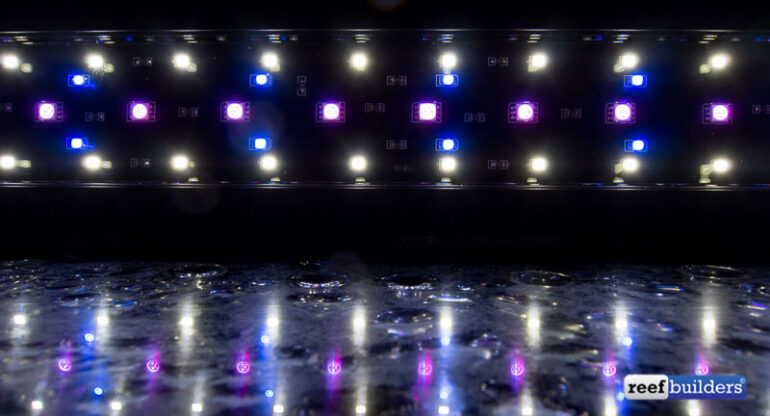 Coralife LED Aqualight S review | Reef Builders | The Reef and ...
