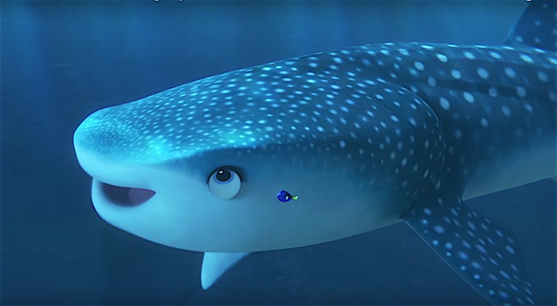 New Finding Dory trailer reveals much more of the sequel movie | Reef ...