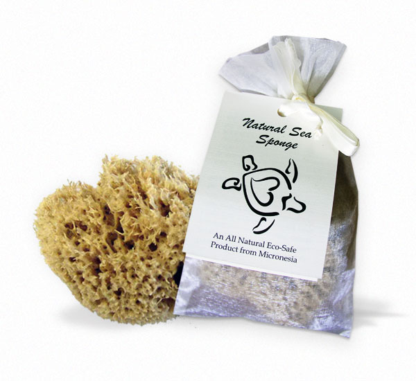 Sponge farming on the Island of Pohnpei Micronesia | Reef Builders ...