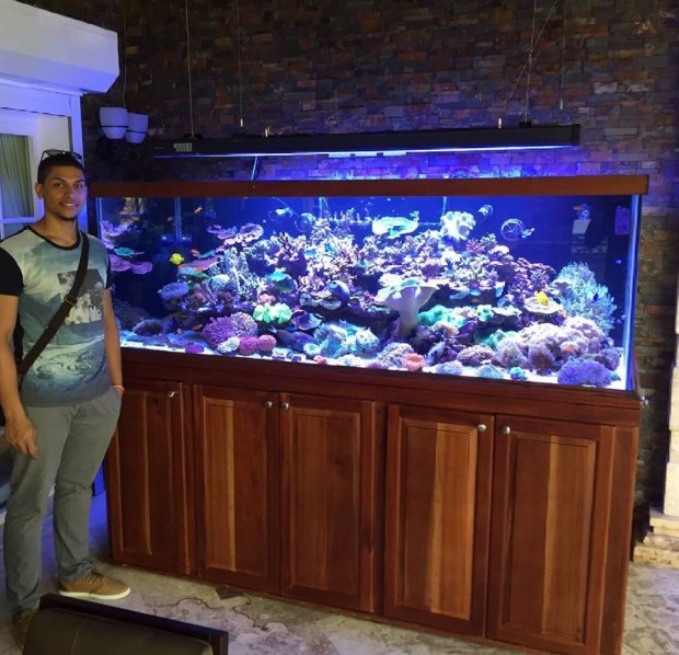 Dominican Reef, a community for Santo Domingo Reefers | Reef Builders ...