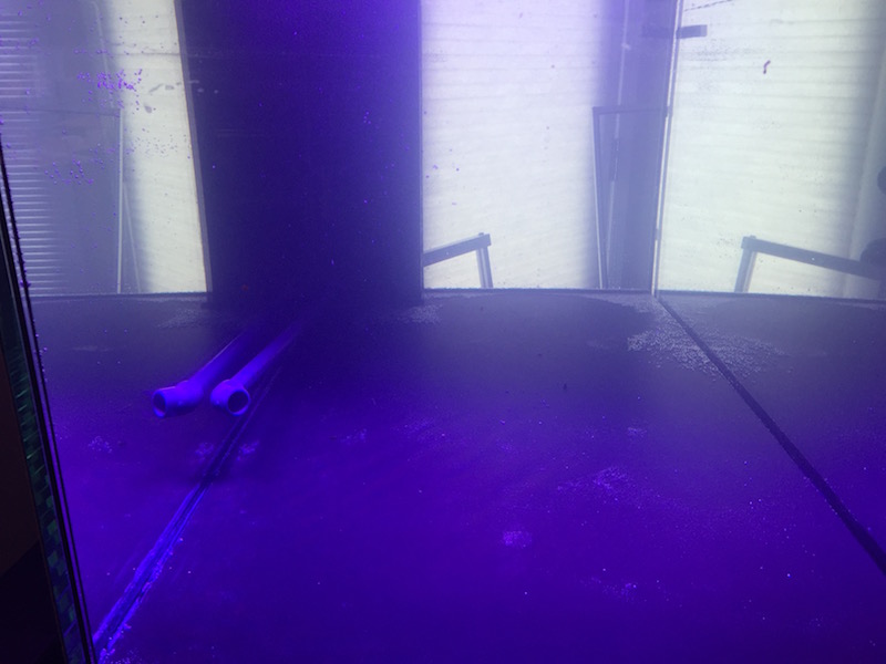 My new reef tank after three months | Reef Builders | The Reef and ...