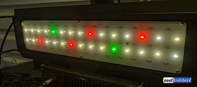 AquaMaxx NemoLight LED review Pt 2, how it looks over corals | Reef Builders | The Reef and ...
