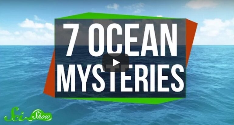 SciShow explains 7 things we don’t know about the ocean | Reef Builders ...