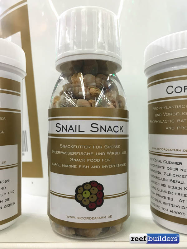 Snail Snack a new food for large marine fish | Reef Builders | The Reef ...