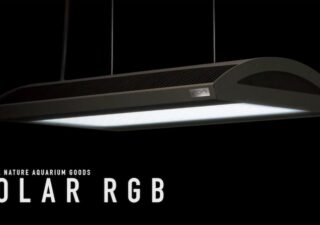 Tag: ADA | Reef Builders | The Reef and Saltwater Aquarium Blog