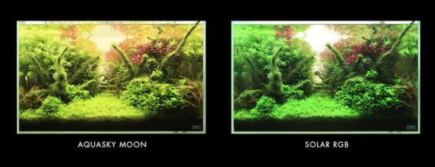 ADA Solar RGB LED is the newest ultimate LED light for planted tanks ...