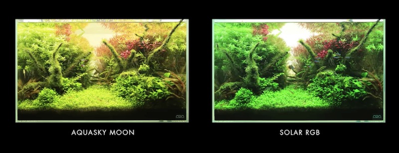ADA Solar RGB LED is the newest ultimate LED light for planted tanks ...