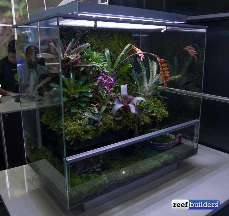 Biopod smart microhabitat vivarium ecosystem | Reef Builders | The Reef ...