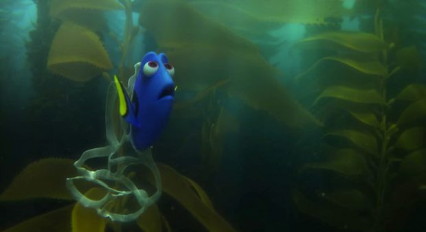 Finding Dory Review: An Aquarist’s Point of View | Reef Builders | The ...