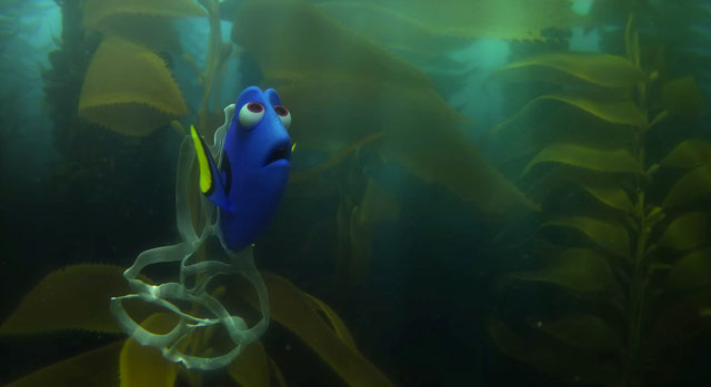 Finding Dory Review: An Aquarist’s Point of View | Reef Builders | The ...
