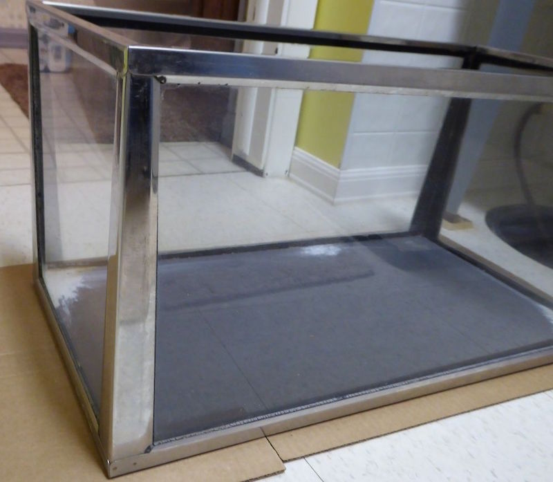 Dads and Tanks | Reef Builders | The Reef and Saltwater Aquarium Blog