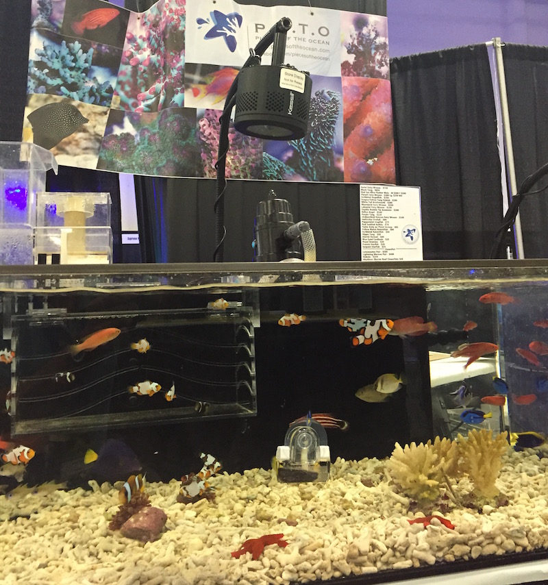 An overview of Reefapalooza New York 2016 | Reef Builders | The Reef ...