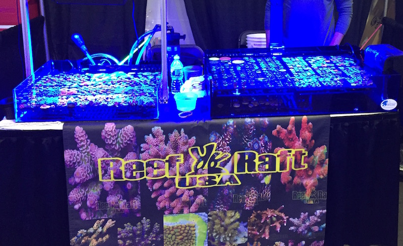 An overview of Reefapalooza New York 2016 | Reef Builders | The Reef ...