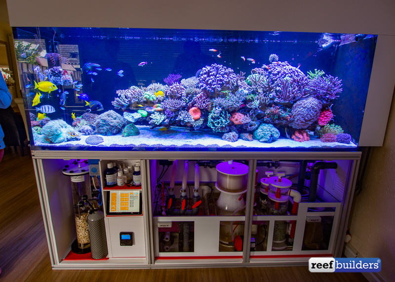 Wesley Vreeswijk is the Ultimate Reefing Control Freak | Reef Builders ...