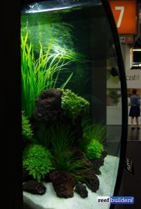 Fluval Flex tanks brings a new perspective to small aquariums | Reef ...