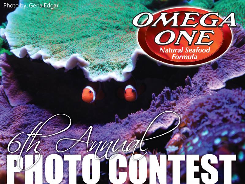 Omega One Photo Contest - Be Featured in the 2017 Calendar and Win Free ...