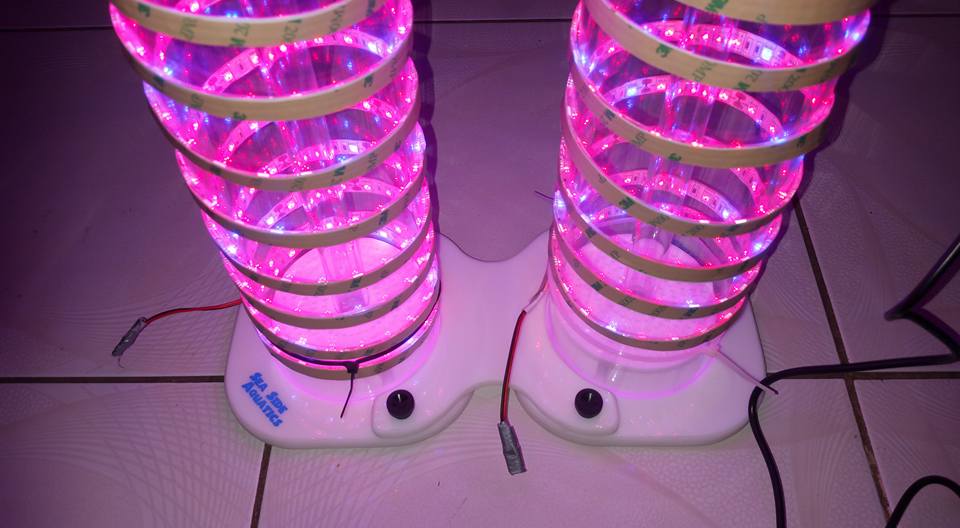 Making a DIY Chaetomorpha Reactor is Incredibly Easy | Reef Builders ...