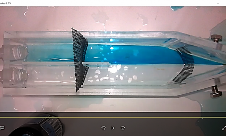 Is CO2 causing your fish to act strange? | Reef Builders | The Reef and ...