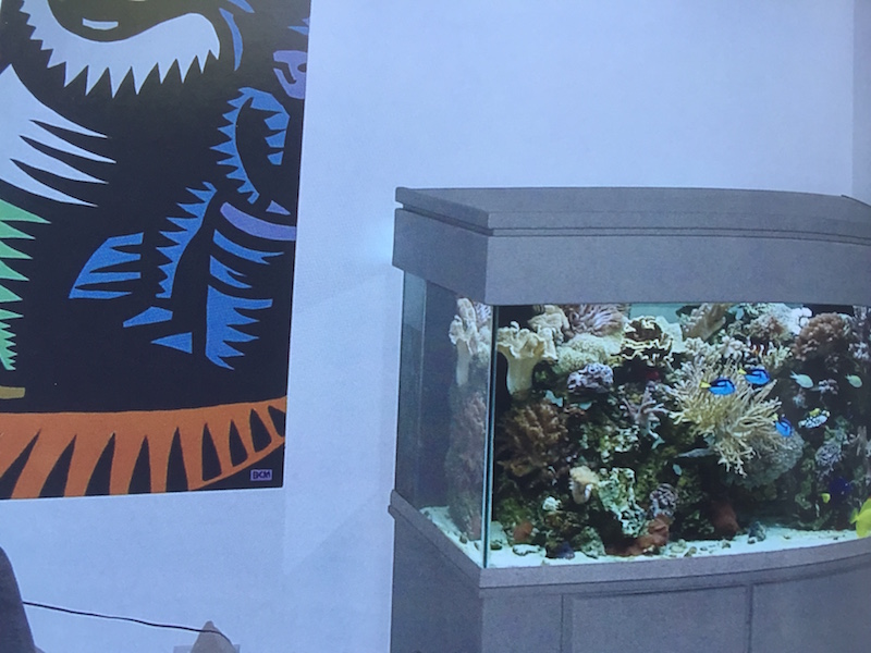 Falling in Love With the Hobby Again | Reef Builders | The Reef and ...