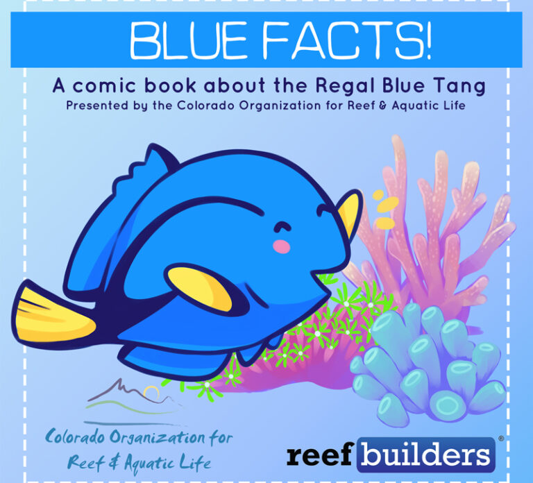 Blue Facts Comic Book About Blue Tangs Debuting at MACNA | Reef ...